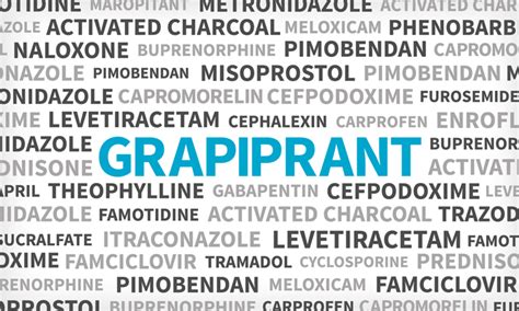 Grapiprant Clinicians Brief