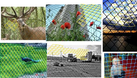Examples Where The Lattice Detection Algorithm 9 Failed To Extract