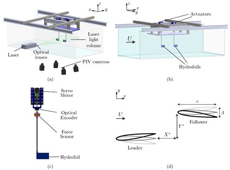 Biomimetics Free Full Text Flow Interactions Between Low Aspect