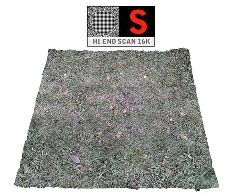 Grass Free 3d Model 3ds Free3d