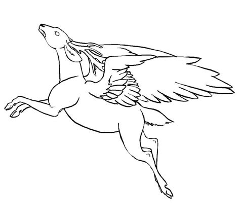 Peryton Coloring Pages Coloring Pages