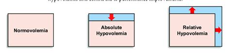 Illustration Of The Concept Of Absolute And Relative Hypovolemia Pink Download Scientific