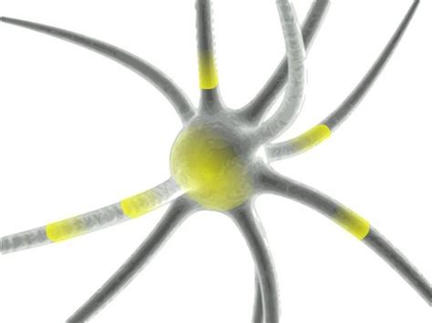神經科學學會期刊：大腦通信網絡研究的最新進展 每日頭條