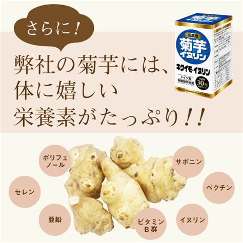 高濃度 菊芋 イヌリン 無塩ドットコム