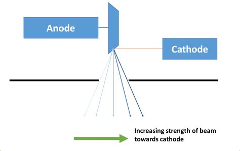 Image Radiopaedia Org