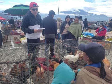 Campaña De Socialización Para Cuidado De Mascotas En Otavalo El Norte