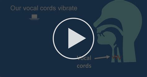 Voiced And Voiceless Sounds Practice Activity Introduction To