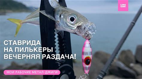 СТАВРИДА НА ПИЛЬКЕРЫ! ВЕЧЕРНЯЯ РАЗДАЧА! Мои рабочие метал-джиги - YouTube