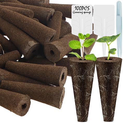 50 100pcs Grow Sponges For Hydroponics Starter Seed Sponges Kit With 10