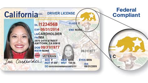 Realid 3 Dmv California