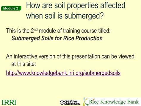 PPT How Are Soil Properties Affected When Soil Is Submerged PowerPoint Presentation ID