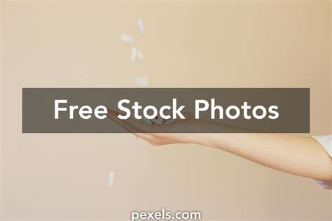 Pharmacy Environment Photos Download The Best Free Pharmacy