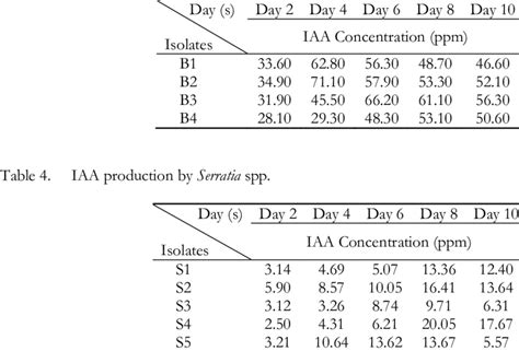 Iaa Production By Bacillus Spp Download Scientific Diagram