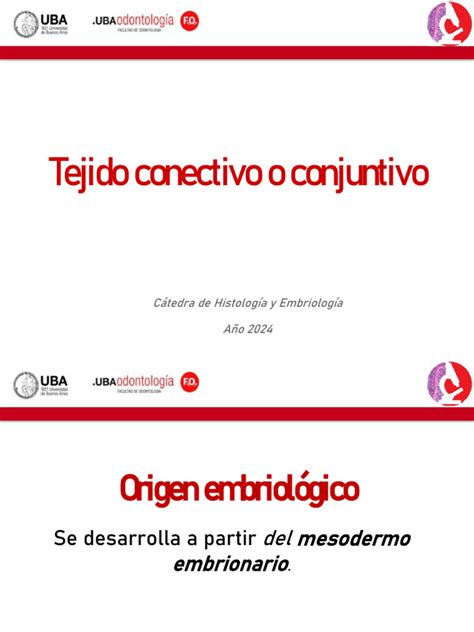 Tejido Conectivo Cartilaginoso Pdf Tejido Conectivo Cartílago