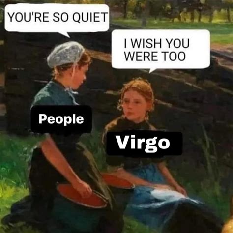 55 Best Virgo Memes That Describe This Zodiac Sign Artofit