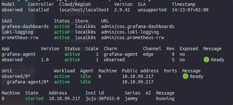 Grafana Dashboard Does Not Reappear In Grafana After Shutdown Getting Started Charmhub
