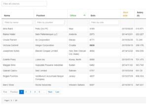 Best Angular DataTables With Pagination Sorting And Filter Feature