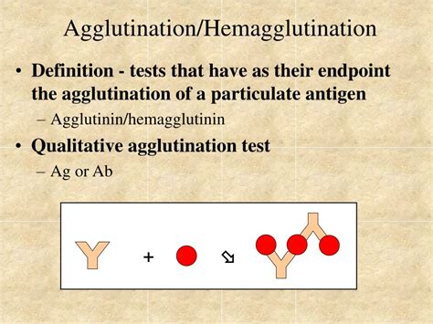 How To Perform Agglutination Test At Garland Lieberman Blog