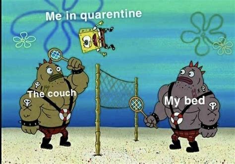 Daily Routine From Last 4 Months Rspongebob