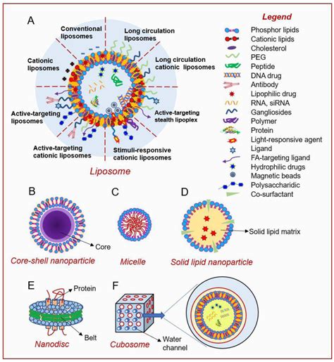 Lipid Based Nanoplatforms For Drug Delivery A Liposomes B