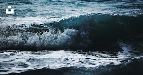 Sea Wave 사진 사진 Unsplash의 무료 바닷가 이미지