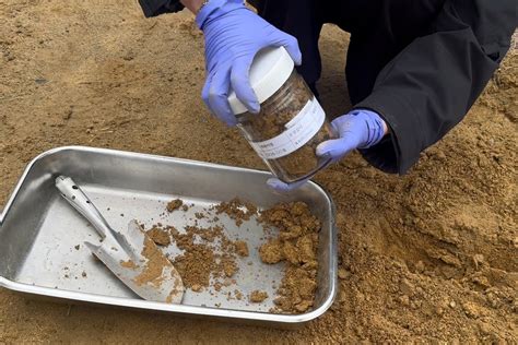 경북 조사대상 245곳 중 6곳 토양오염우려기준 초과 나무뉴스