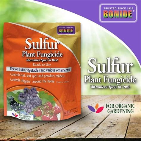 Bonide Bnd1428 Sulfur Plant Fungicide Organically Controls Rust