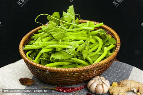 清炒南瓜苗 蔬菜水果 食品餐饮 摄影素材 汇图网www huitu
