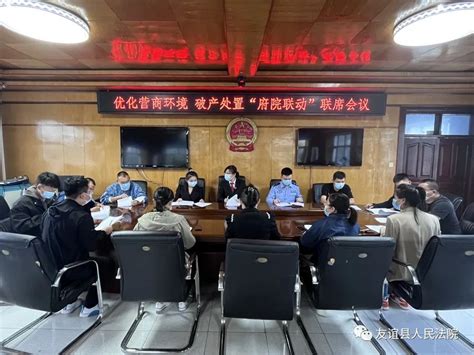 【优化营商环境】友谊县人民法院召开破产工作专班府院联动座谈会澎湃号·政务澎湃新闻 The Paper
