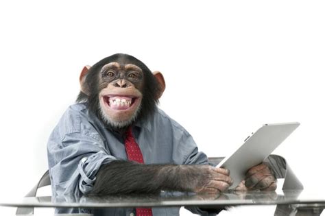 Create Meme Chimpanzees Monkey Behind A Computer Monkey In The Office Pictures Meme