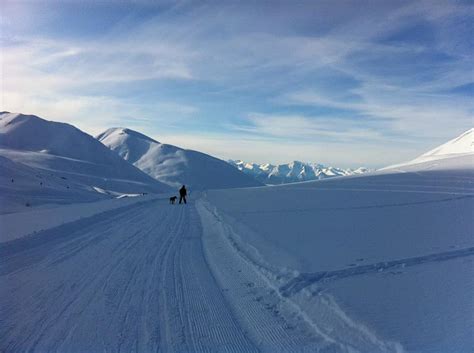 Royalty Free Hatcherpass Photos Pikist