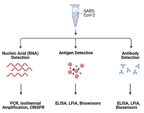 Schematic Illustration Of Sars Cov 2 Detection Systems Created With