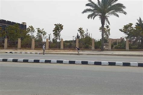 نظافة وتجميل مدينة العريش استعدادًا للاحتفال بالعيد القومي المصري اليوم