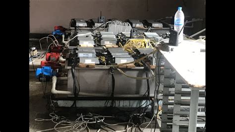 Нелегална ферма за криптовалута е разкрита край Чирпан Nova Bg