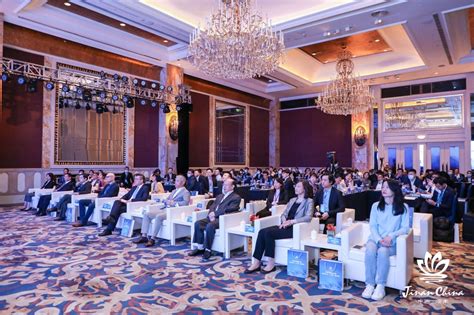 知名跨国公司上海相聚 济南与跨国公司深度合作恳谈会举行凤凰网山东凤凰网