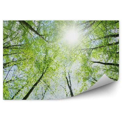Fototapety z perspektywą setki modnych wzorów