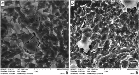 Fesem Micrographs Of Ti Tio2 Ruo2 La2o3 Anode With A Molar Ratio Of