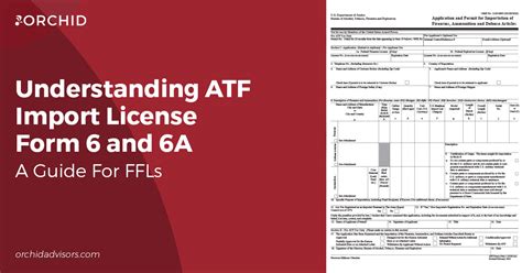 Understanding Atf Import License Form 6 And 6a