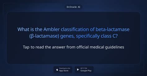 What Is The Ambler Classification Of Beta Lactamase β Lactamase Genes
