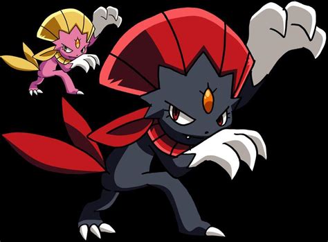 Weavile Wiki Pokémon Amino