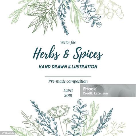手繪向量圖框架與草本和香料 草藥預製成的成分完美的功能表 卡片 印刷品 包裝 傳單向量圖形及更多插圖圖片 Istock