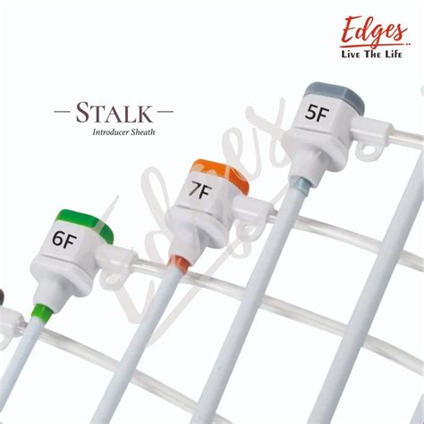 Transradial Introducer Sheath 6fr For Hospital Cardiology Model Name Number Stkrxxxxxxx At