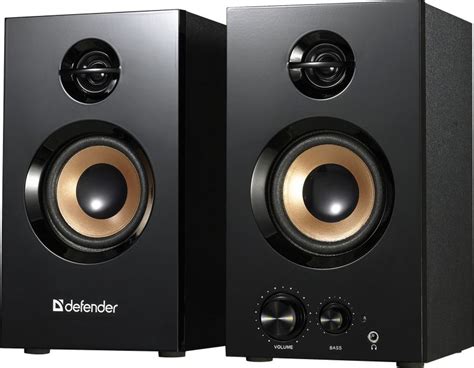 Колонки Defender Aurora S20 Black 65419 - купить с доставкой по ...