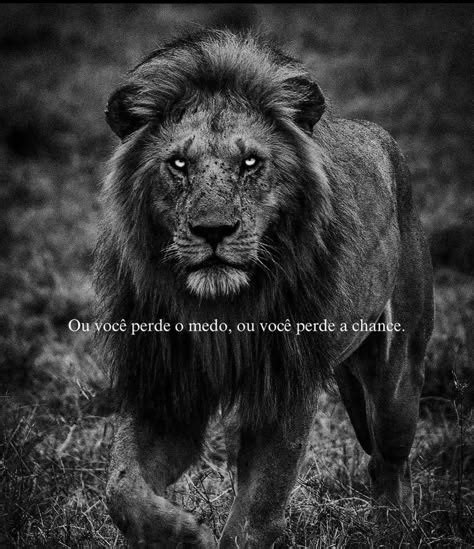 Foto Com Frases Motivacionais