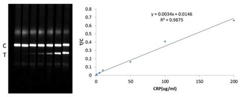 DiagNano Quantum Dot Beads For Lateral Flow Immunochromatographic Assays CD Bioparticles
