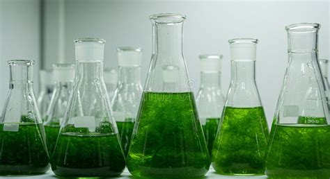Glass Laboratory Flasks Filled With Green Liquid Are Arranged On A