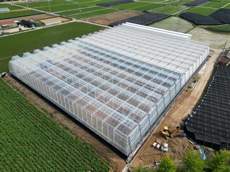 강원도 홍천 딸기 재배온실 설치사례 싱싱하이테크팜