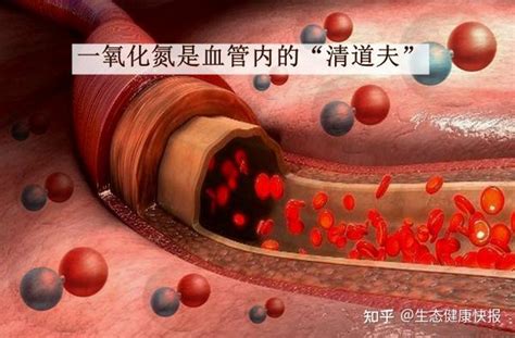 五靶点健康科普：一氧化氮对人体的作用？ 知乎