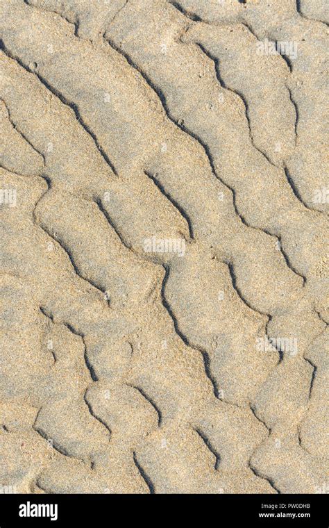 Low Tide Ripple Marks Fluvial Ridges In Wet Beach Sand Mars Like Flow Patterns Concept For