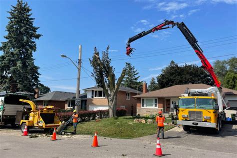 Tree Removal Permits Higher Place Tree Care